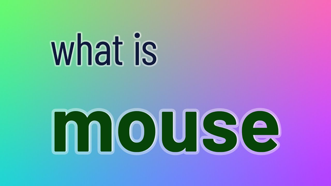 Mouse - 96 English Vocabulary Flashcards - YouTube