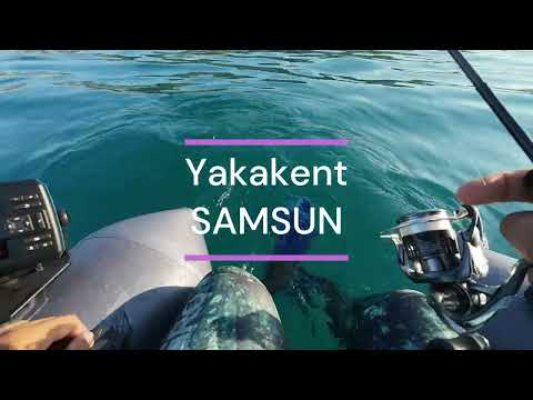Motorlu FLTB9 Belly Boat ile Karadeniz'de LRF Avı #fish #lrf #ajing #bellyboat #floattube #fishing