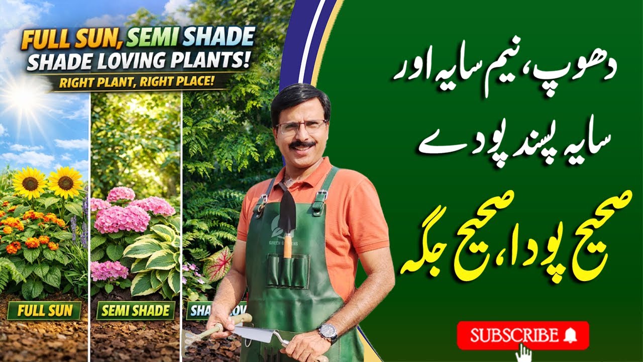 Full Sun, Semi Shade & Shade Loving Plants | Complete Gardening Guide ...