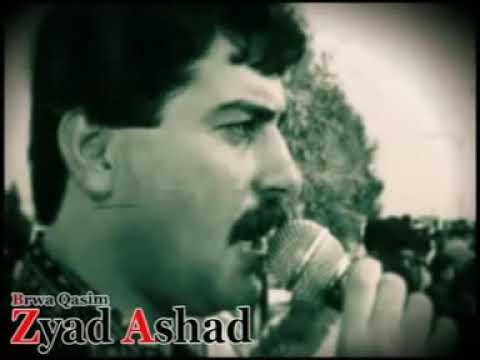 Zyad asad ashq ba tom - YouTube