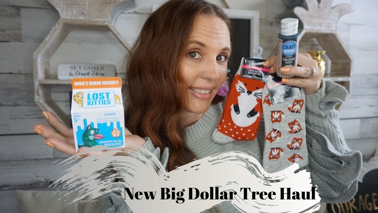 Big Dollar Tree haul September 21 2019| New finds with updates - YouTube