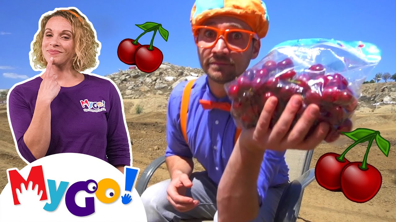 Blippi Visits a Cherry Farm! | Educational Videos for Kids | MyGo! Sign ...
