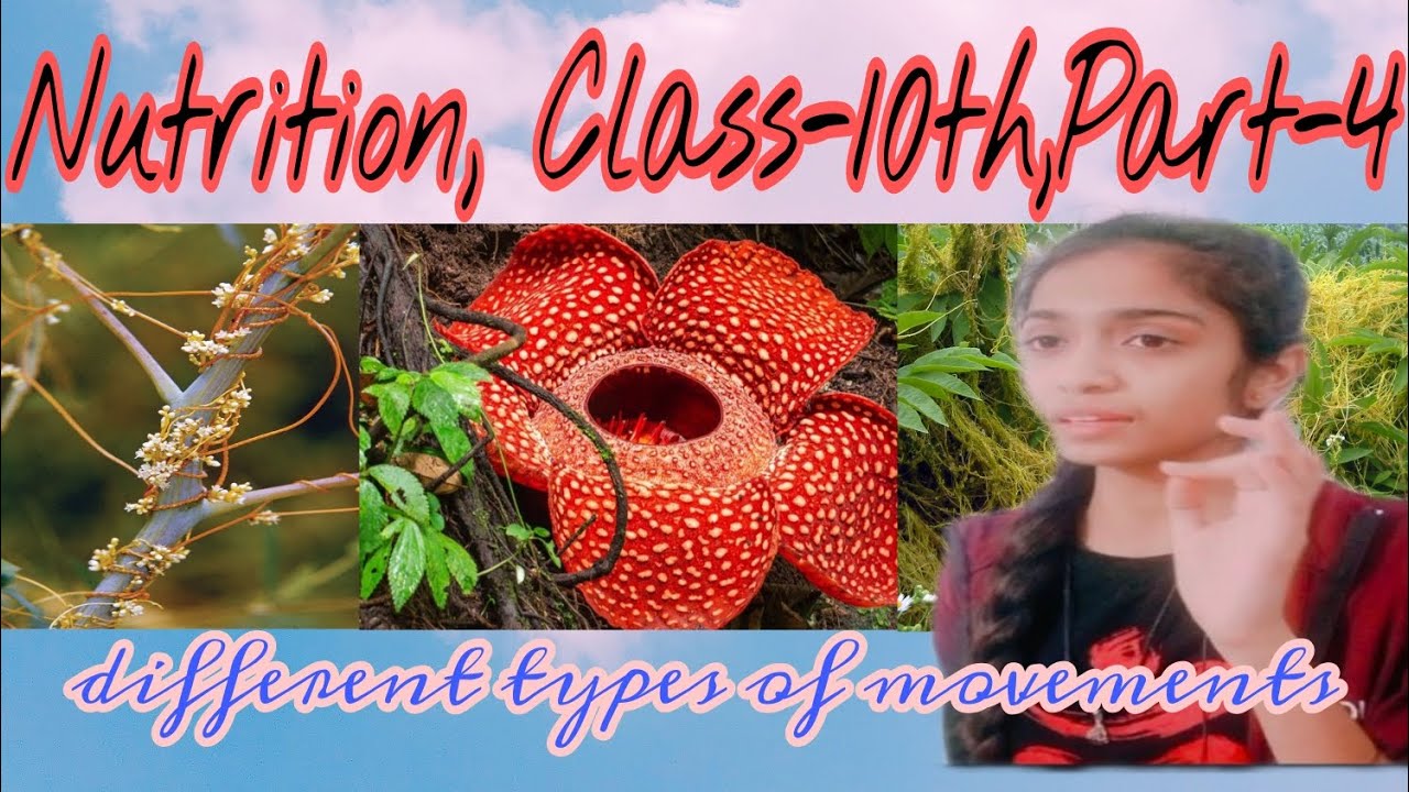 Class-10/Biology/Nutrition/part-4/Parasite. - YouTube