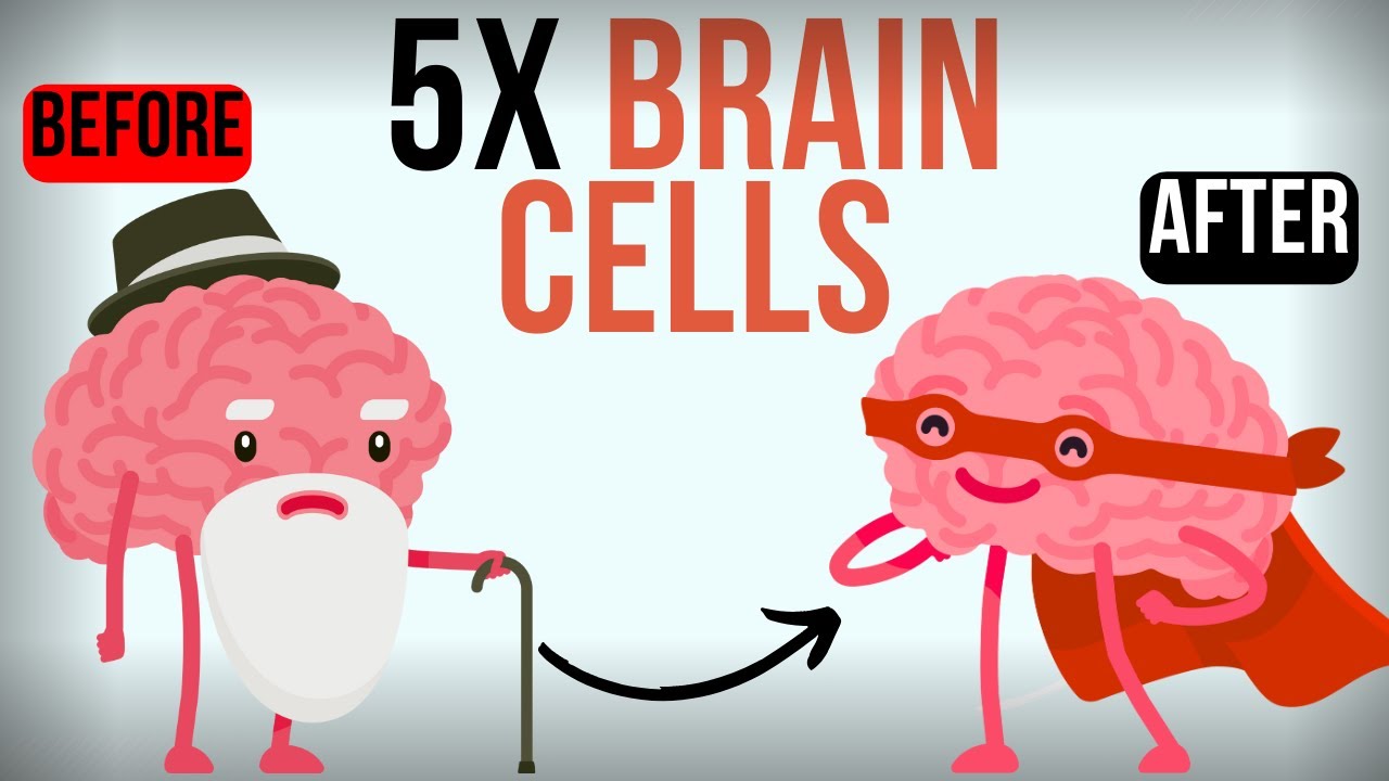 Super Charge Your Brain Health | Avoid Brain Aging By Regenerating ...
