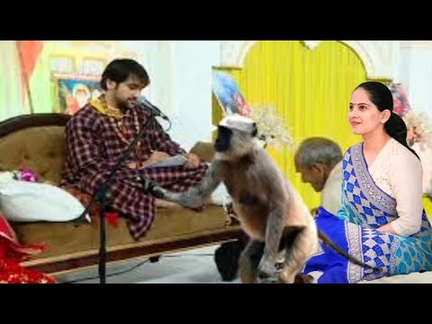 pravachan katha bageshwar dham ki !! bageshwar dham sarkar !!🌹🌹 - YouTube