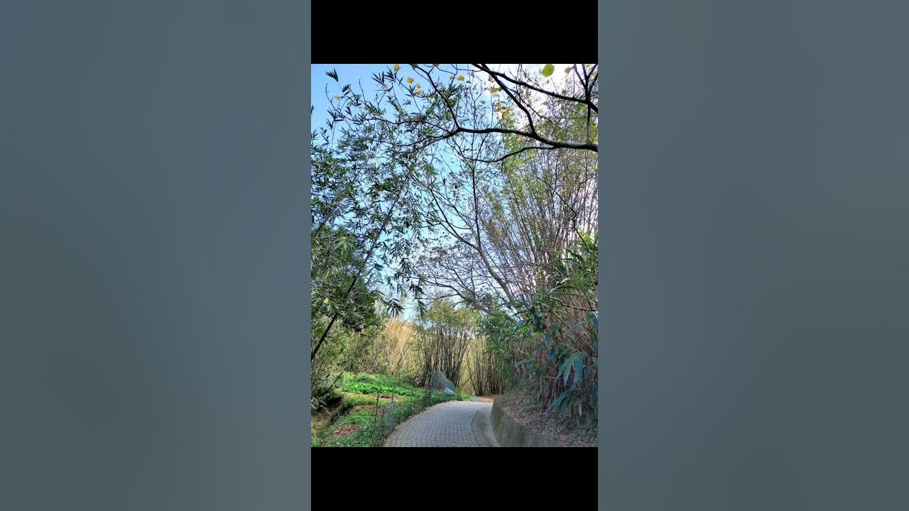 寶山水庫（2025／1） - YouTube