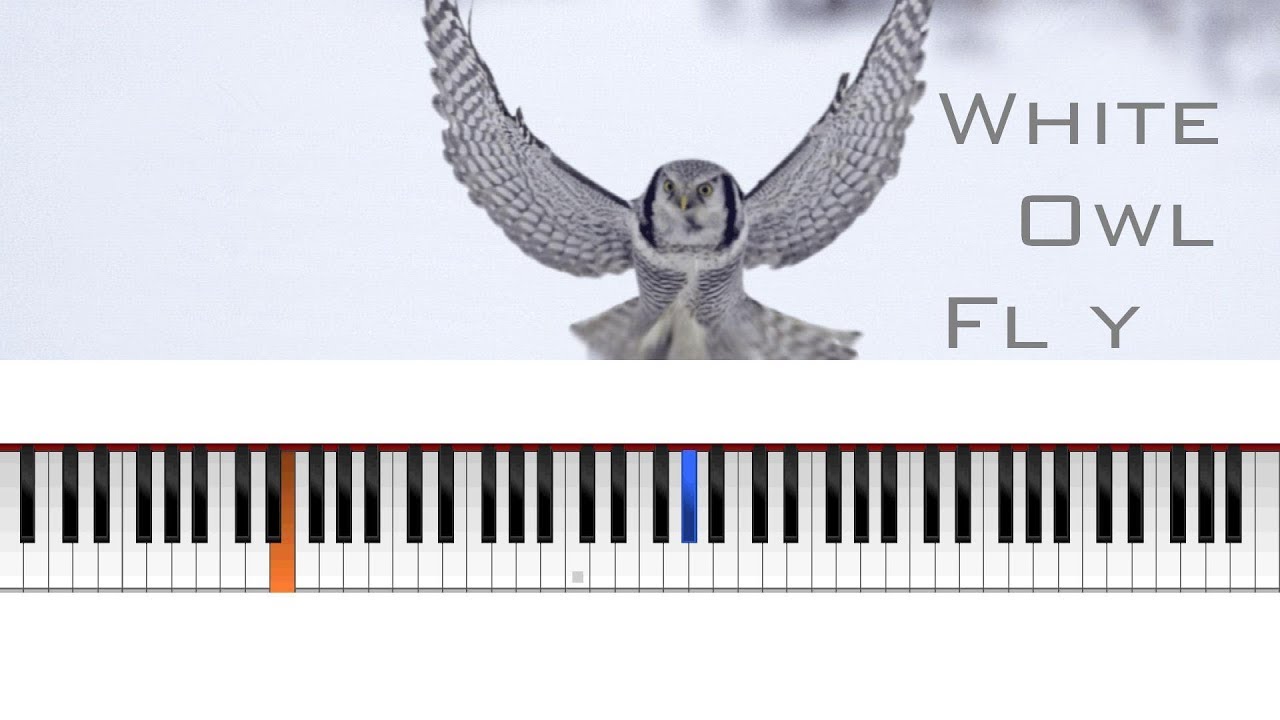 White Owl Flying Trance Pluck Melody (1st take) - YouTube