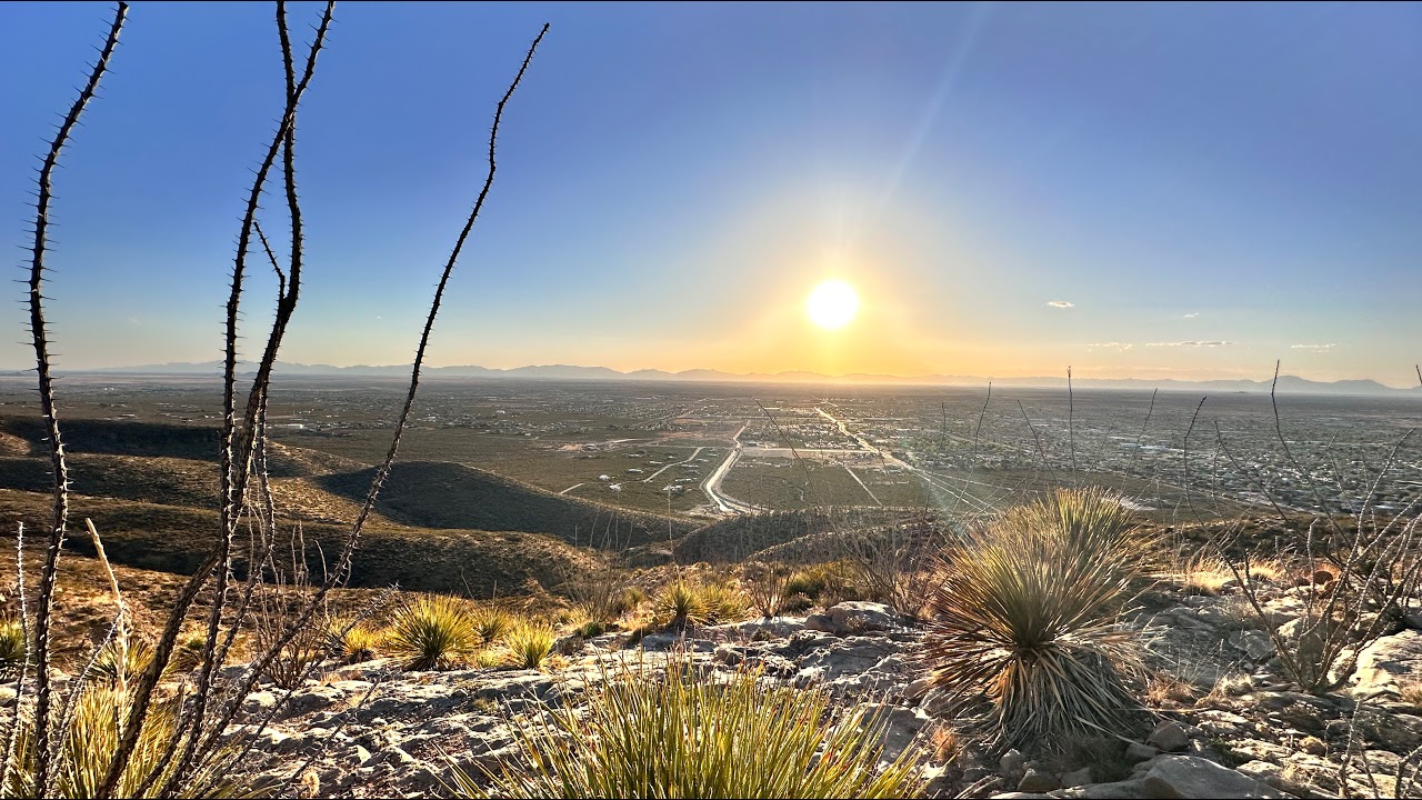 Austin Golden Live Stream - YouTube