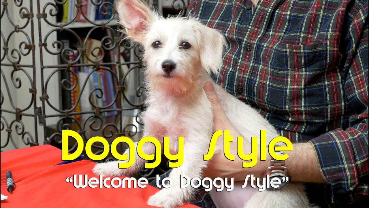 Doggy Style: The Web Series - Episode 1 - "Welcome to Doggy Style ...