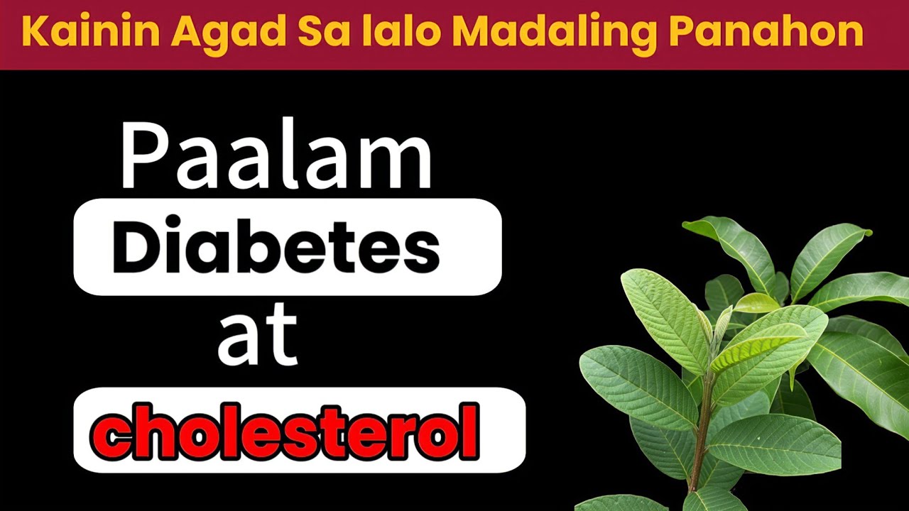 Senior, Alamin ang 5 Dahon na Natural na Gamot sa Diabetes at Taba sa ...