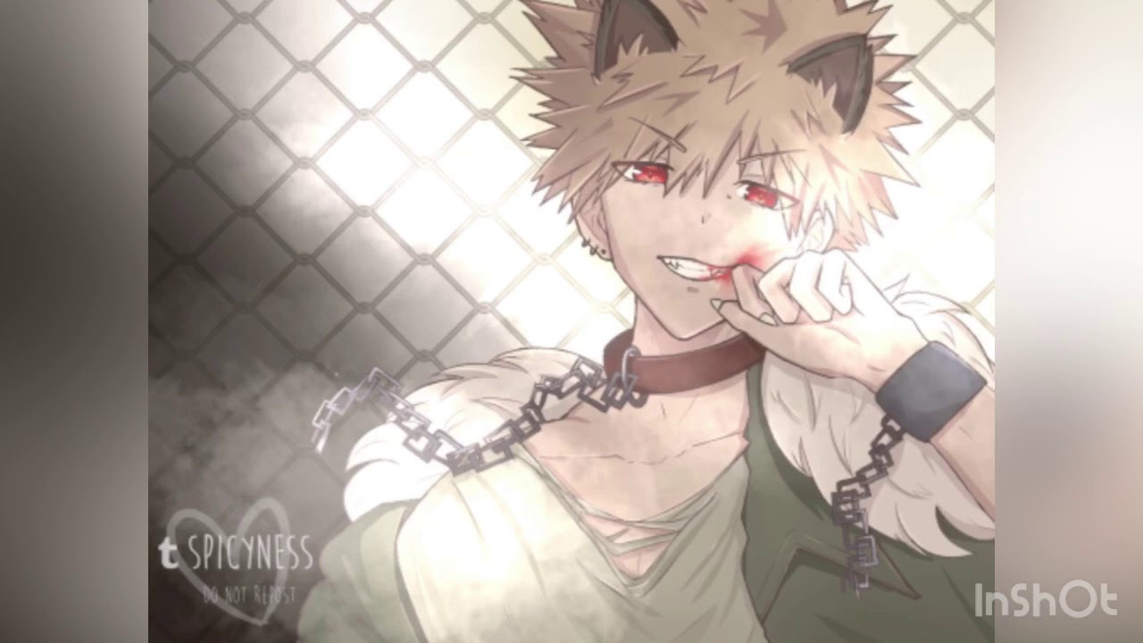 [Wolf Bakugou ASMR] Beautiful Flower (Hurt/Sick Listener, Worried ...