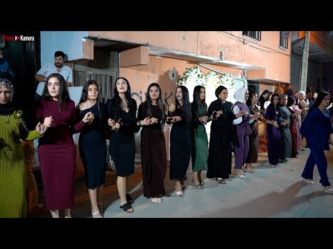 Kürtçe Halay 2025 Grani