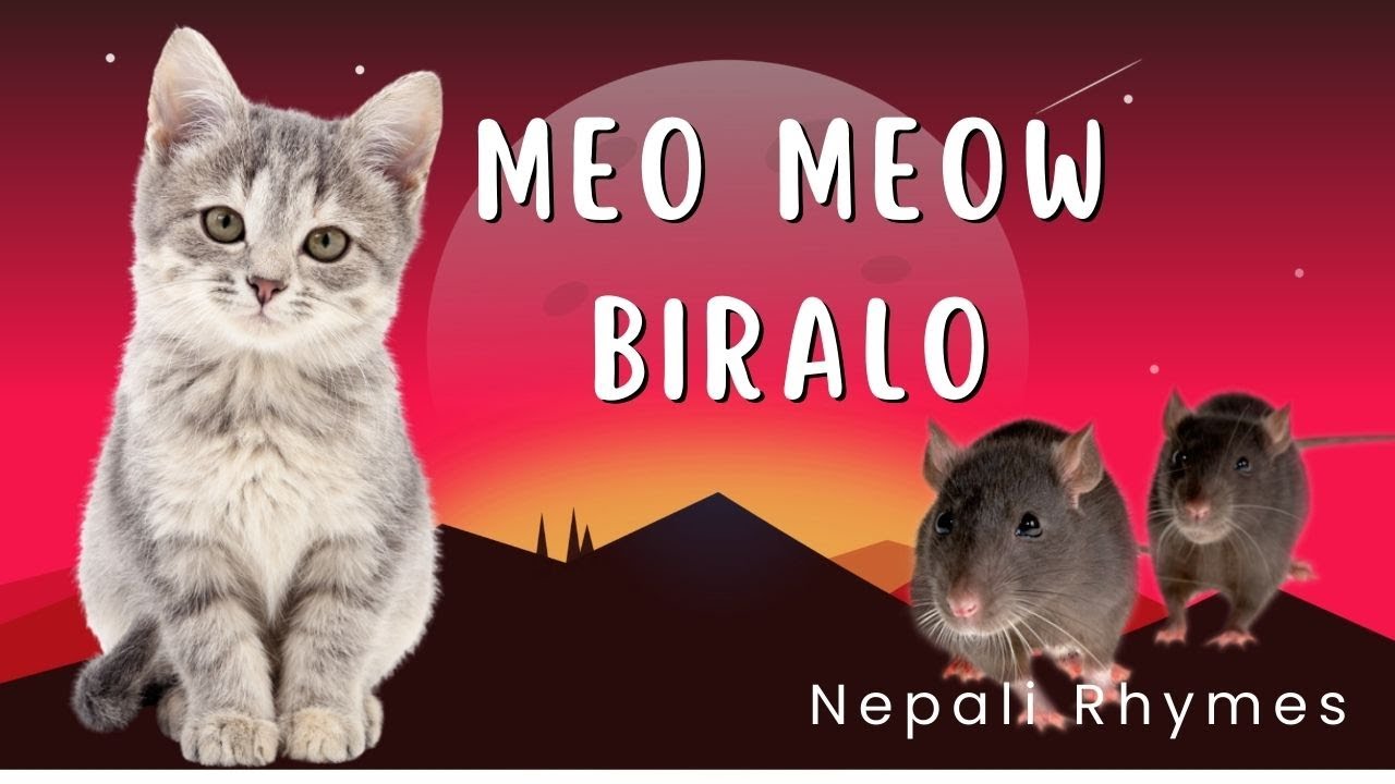 MEOW MEOW BIRALO| Nepali Rhymes For Kids| - YouTube