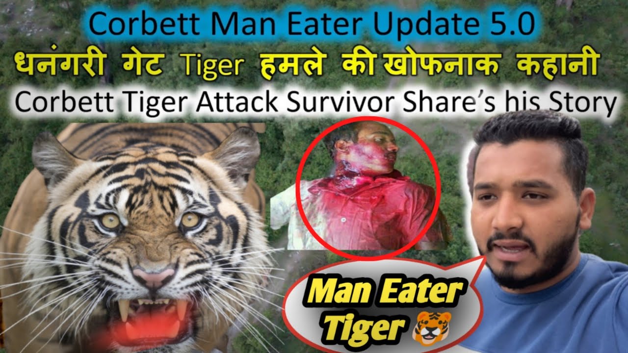 बाघिन ने मारे थे 436 लोग | Champawat Tiger | Territory Of Man Eater ...
