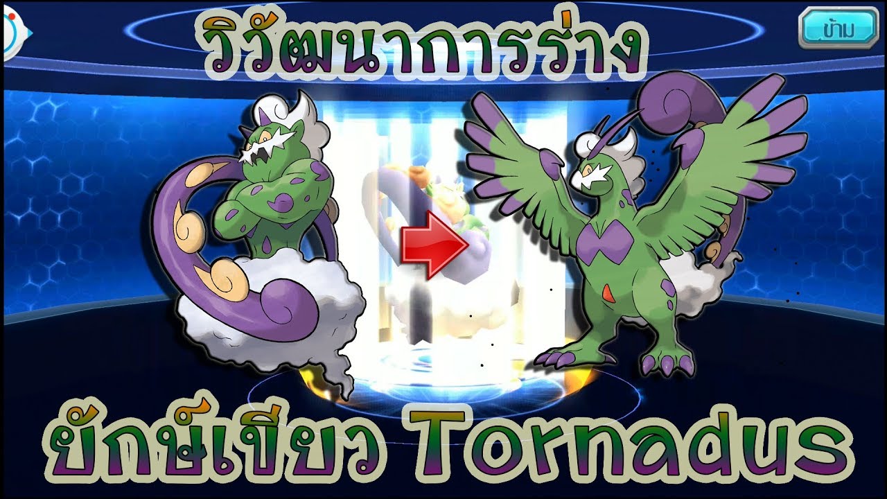 Poke Saga : พัฒนาร่าง ยักษ์เขียวTornadus | evolution Tornadus - YouTube
