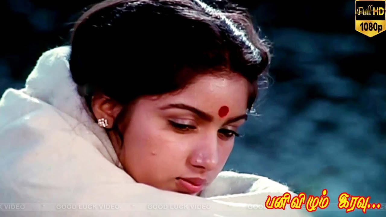 பனிவிழும் இரவு பாடல் | Mohan ,Revathi | Ilaiyaraaja Evergreen hits ...
