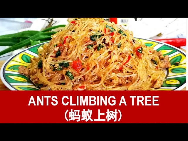 Ants Climbing A Tree