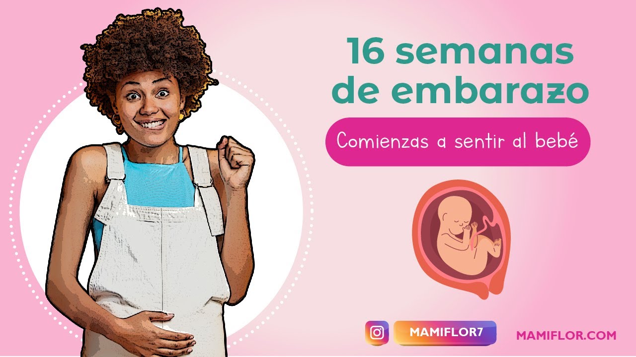 16 SEMANAS de embarazo - YouTube