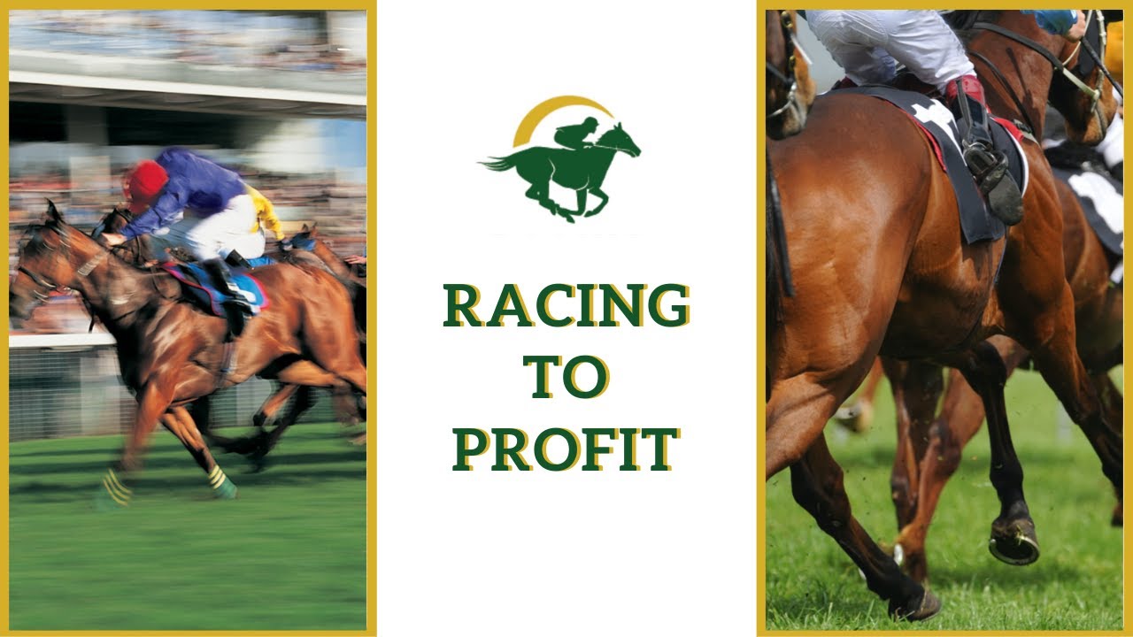 Finding Winners at Newmarket Races - YouTube