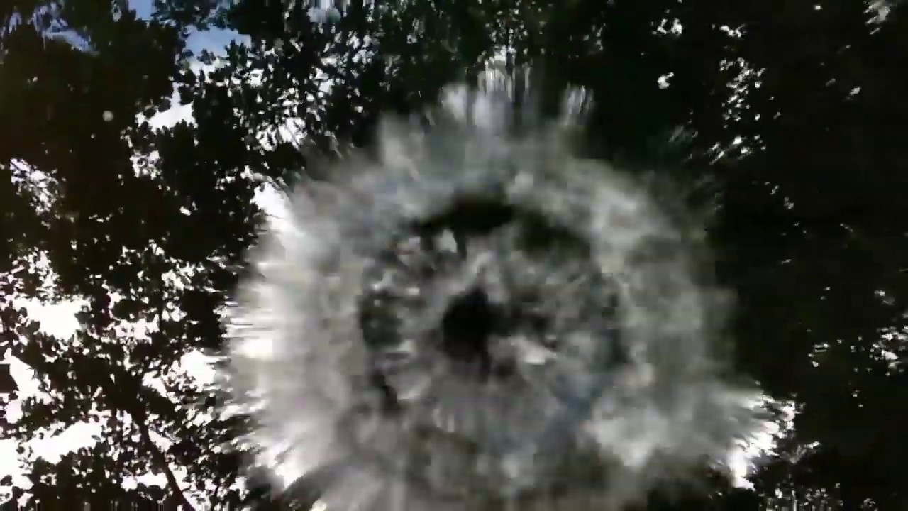 Nature sounds, Water drop sounds on the shadow of Trees - YouTube