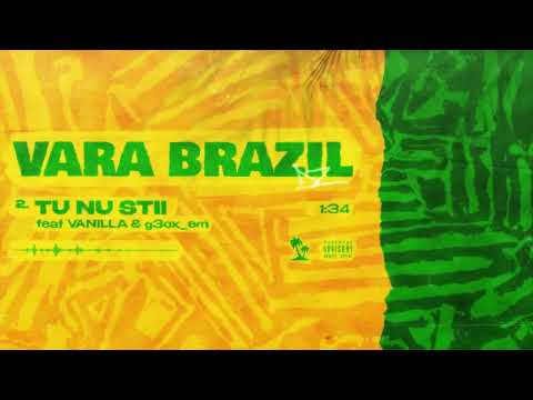 DZWS & VANILLA - TU NU STII (prod. g3ox_em)