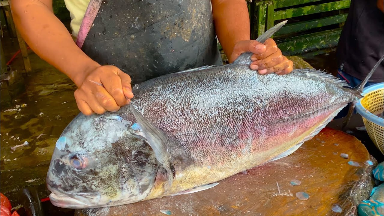 EXPERT FISH CUTTER || TREVALLY FISH CUTTING & SLICING IN FISH MARKET ...