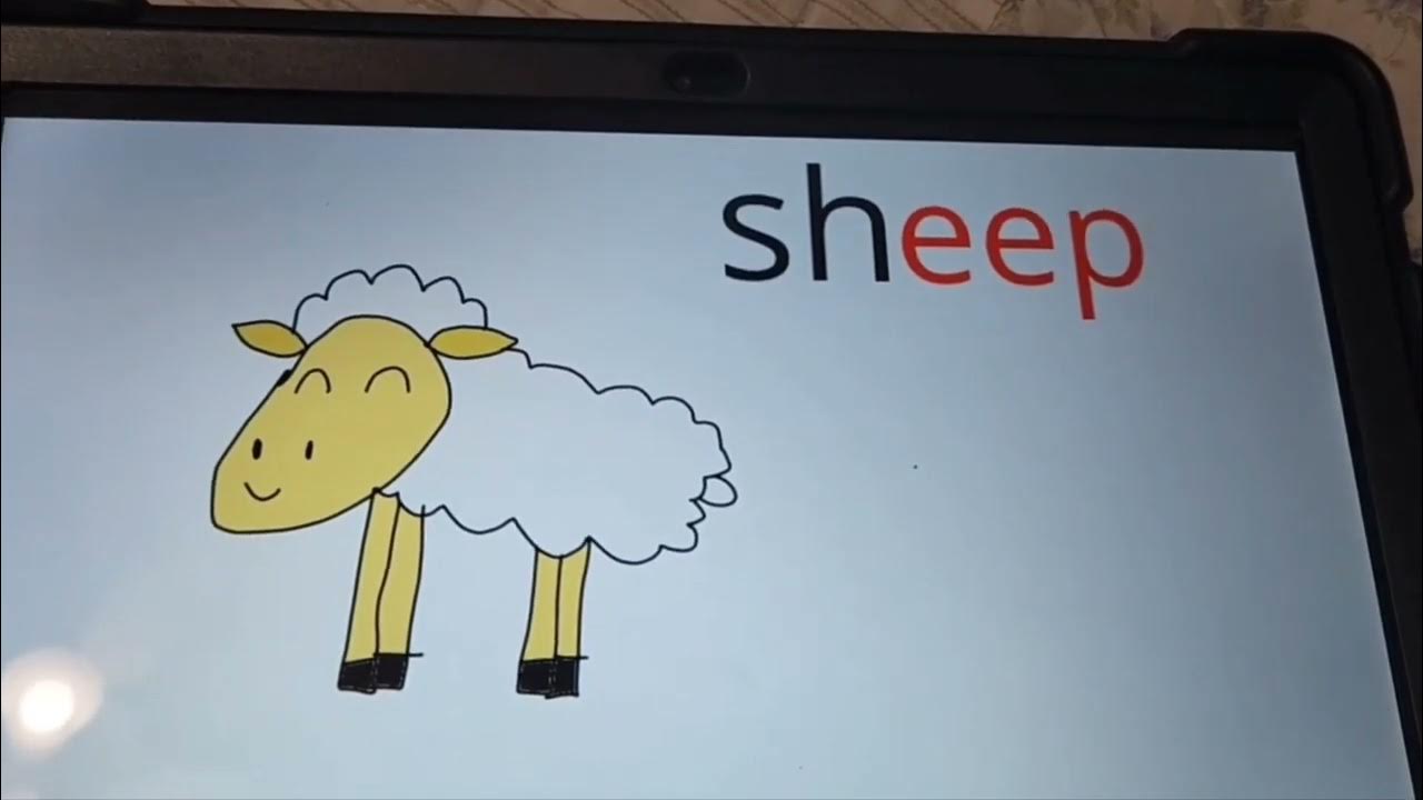 EEP Word Families For Young Learners Learn To Read EEP Words YouTube eep-word-families-for-young-learners-learn-to-read-eep-words-youtube