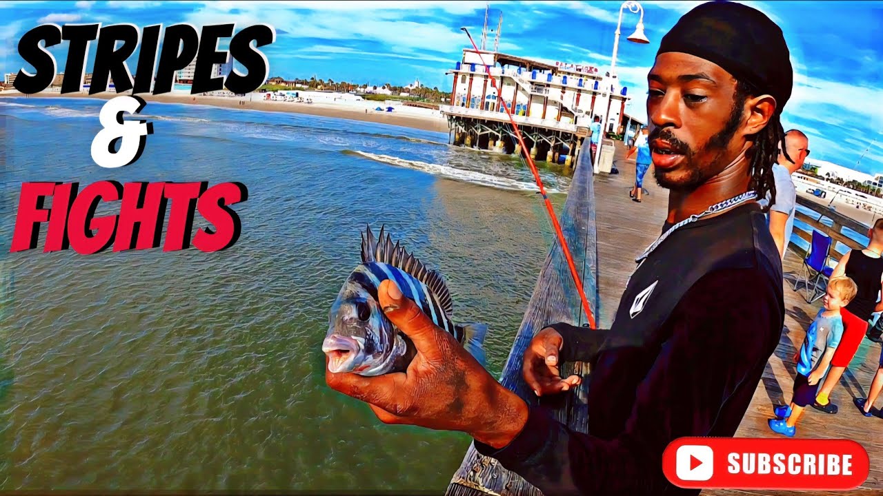 MORE DRAMA MUST WATCH Another Crazy Day at the Pier - YouTube