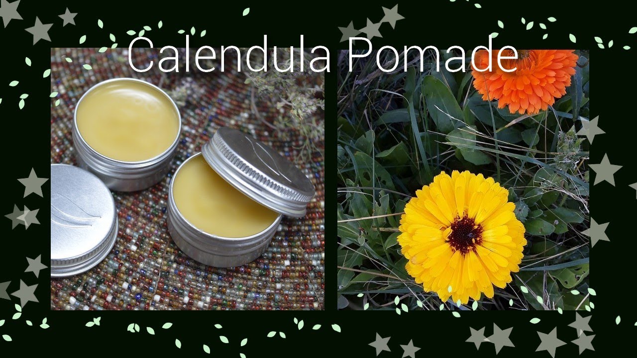 Calendula Balm for Scars and Healing || A Druid's Secrets // ☆ The ...