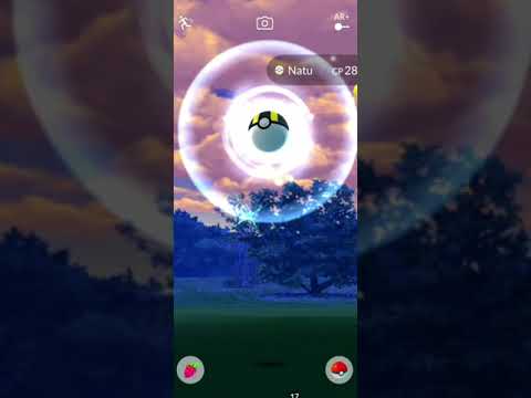 Catching Shiny Natu | Natu Spotlight | Pokémon Go Shiny Catching | The ...