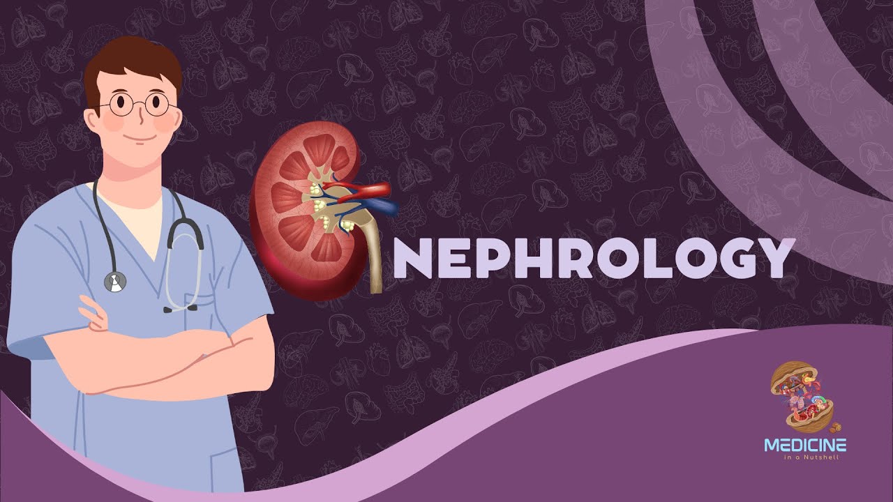 Nephrology 5th lec ( Acid Base balance and problem solving ) - YouTube