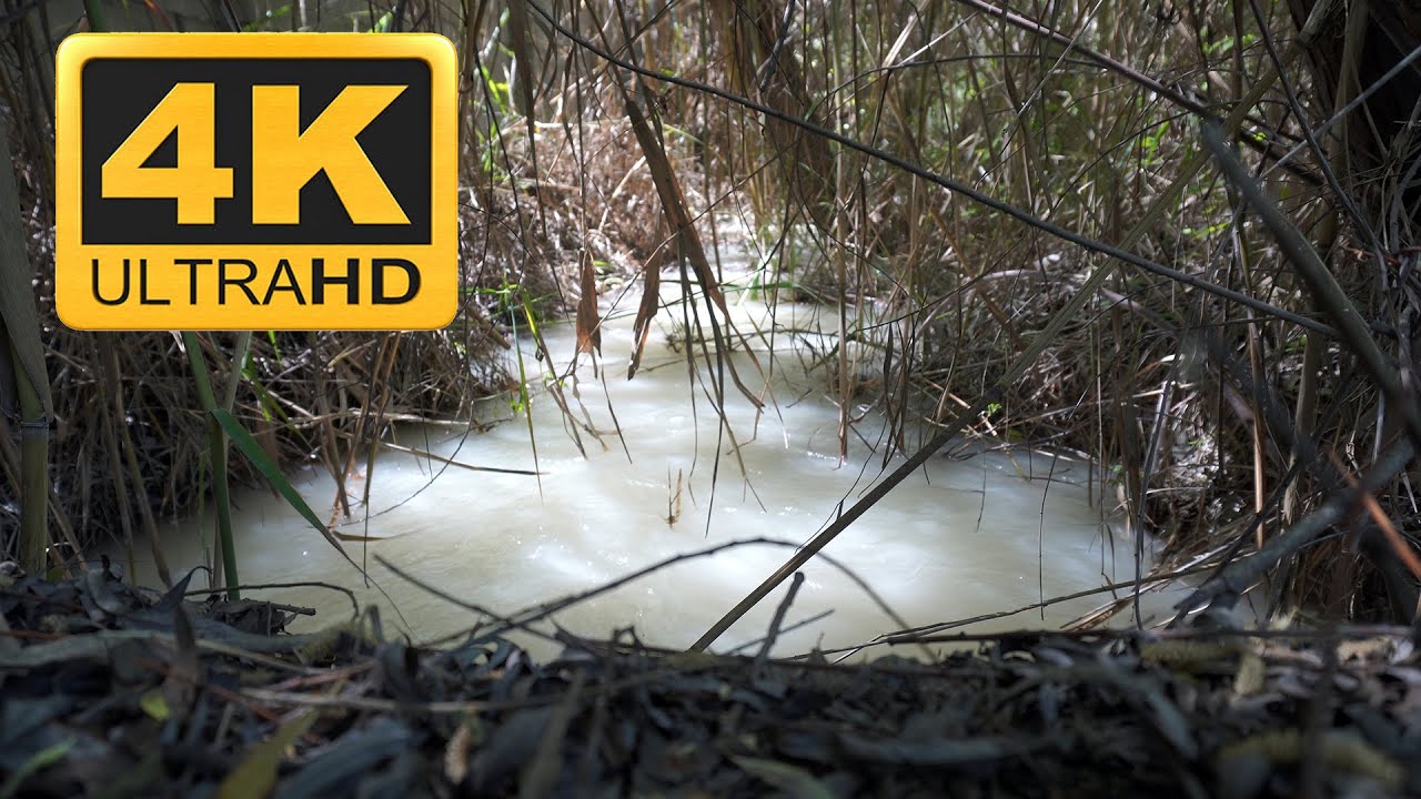 4K Relaxing Pond Sounds in a Village Garden | Peaceful Nature of Iran ...