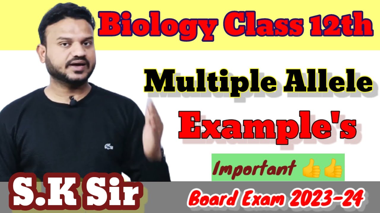 Multiple Allelism class 12th, Genetics, Principal of Inheritance and ...