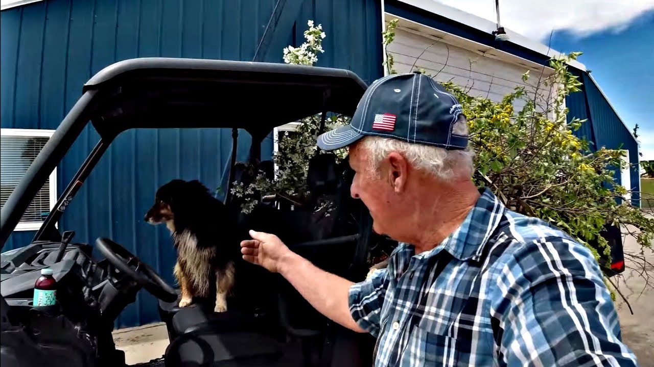 Moving PEAS, Plowing TREES, Mowing WEEDS, Trimming CHOKE CHERRIES ...