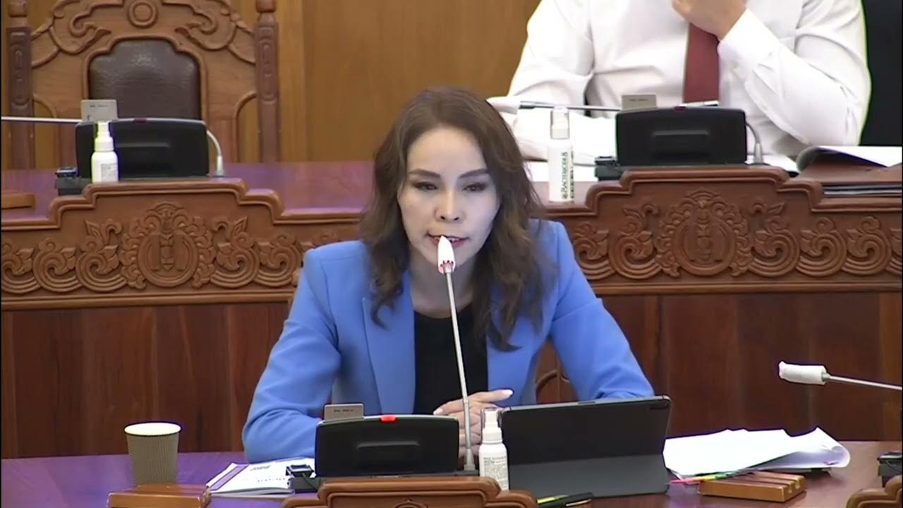 Ц Мөнхцэцэг Эдийн засгийг төрөлжүүлэхэд гадаадын хөрөнгө оруулалт