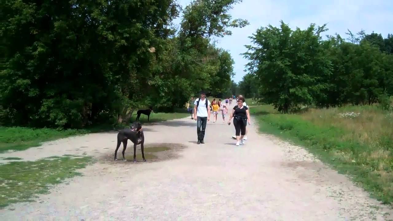 BHRR Walk at Conroy Pit Park July 31st, 2011 - YouTube