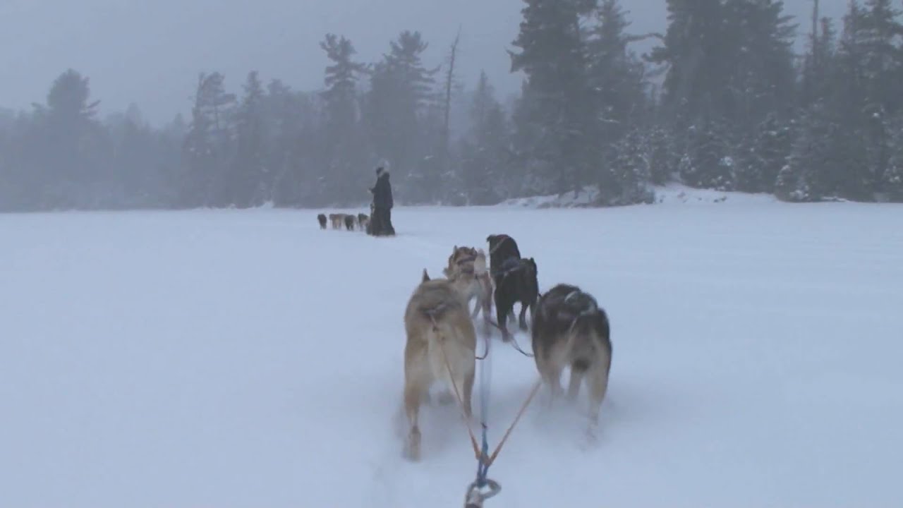 Dog Sledding YMCA Camp Menogyn near the Boundary Waters Wilderness ...