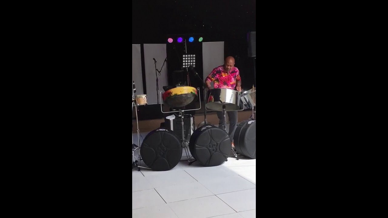 Reggae Steel band Steel drum/pan music - I Wanna Love You - YouTube
