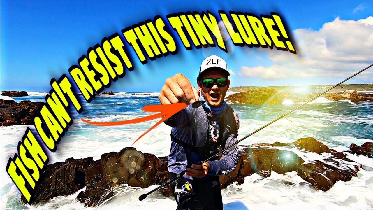 ULTRA LIGHT TACKLE FISHING WITH MICRO LURES! THESE TINY LURES WORK ...