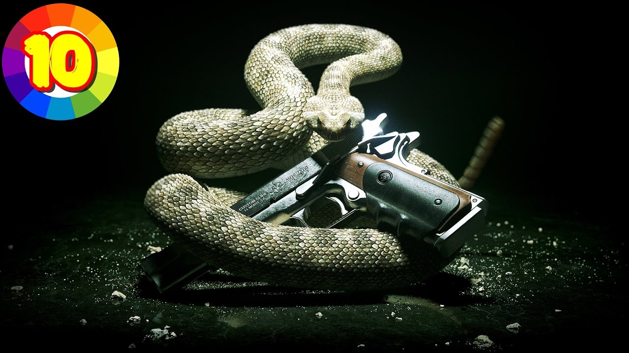 10 อันดับงูที่อันตรายที่สุดในโลก ที่มีพิษร้ายแรง | Top 10 Most Venomous ...