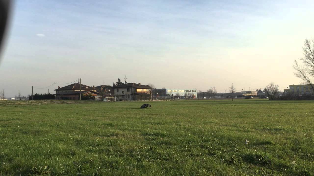 Alx 71 baja engine park run - YouTube