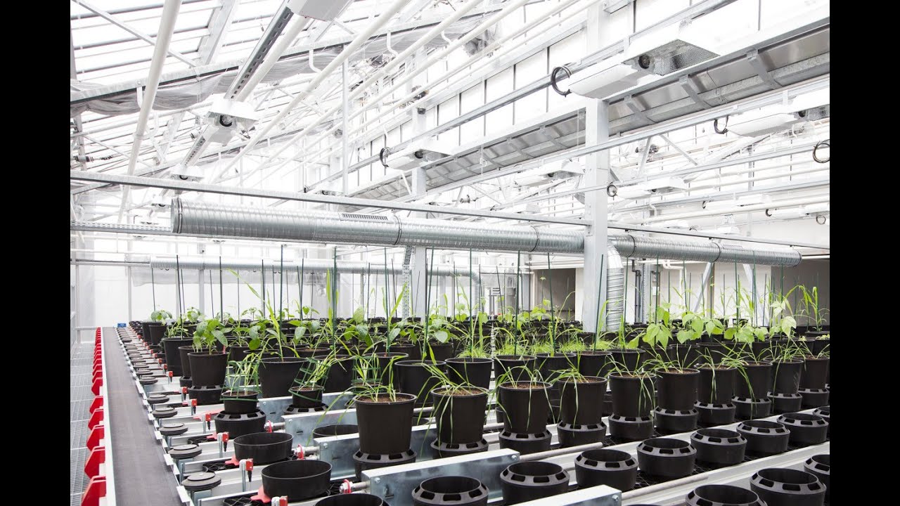 Centro Mundial de Inovação - Grupo Roullier - YouTube