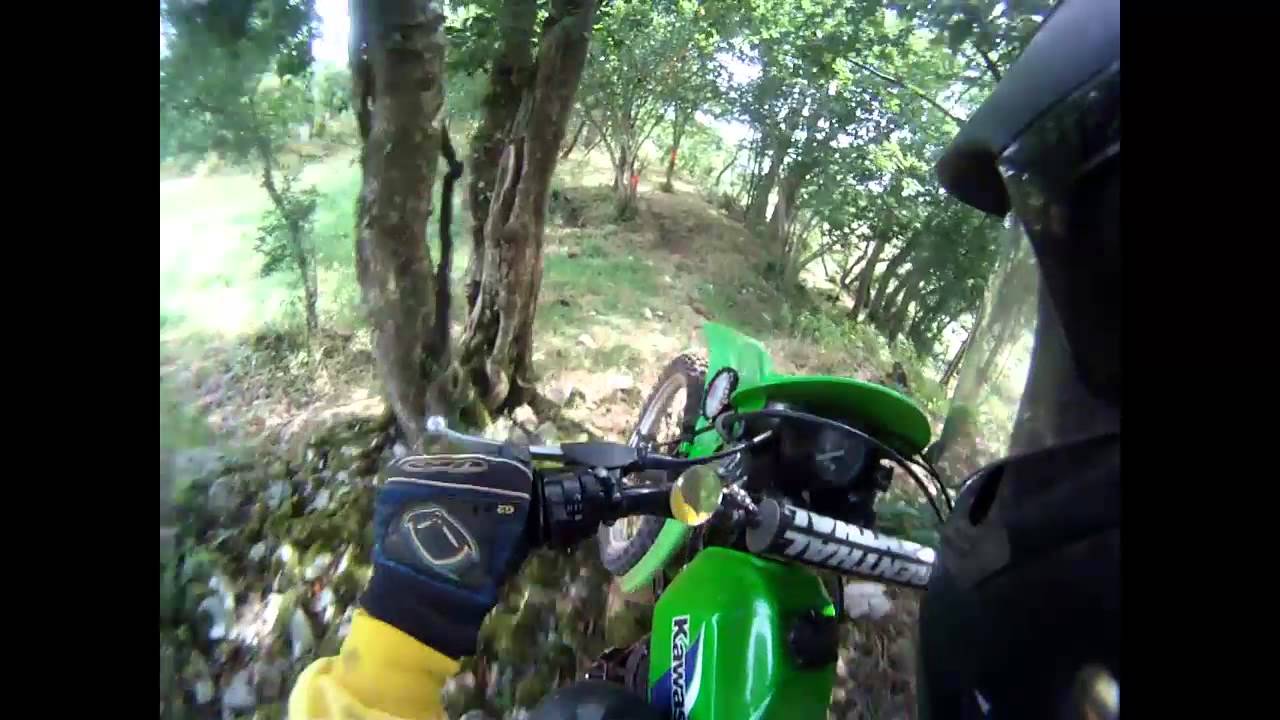 TRF Devon Hazelwood Farm July 27th 2014 - YouTube