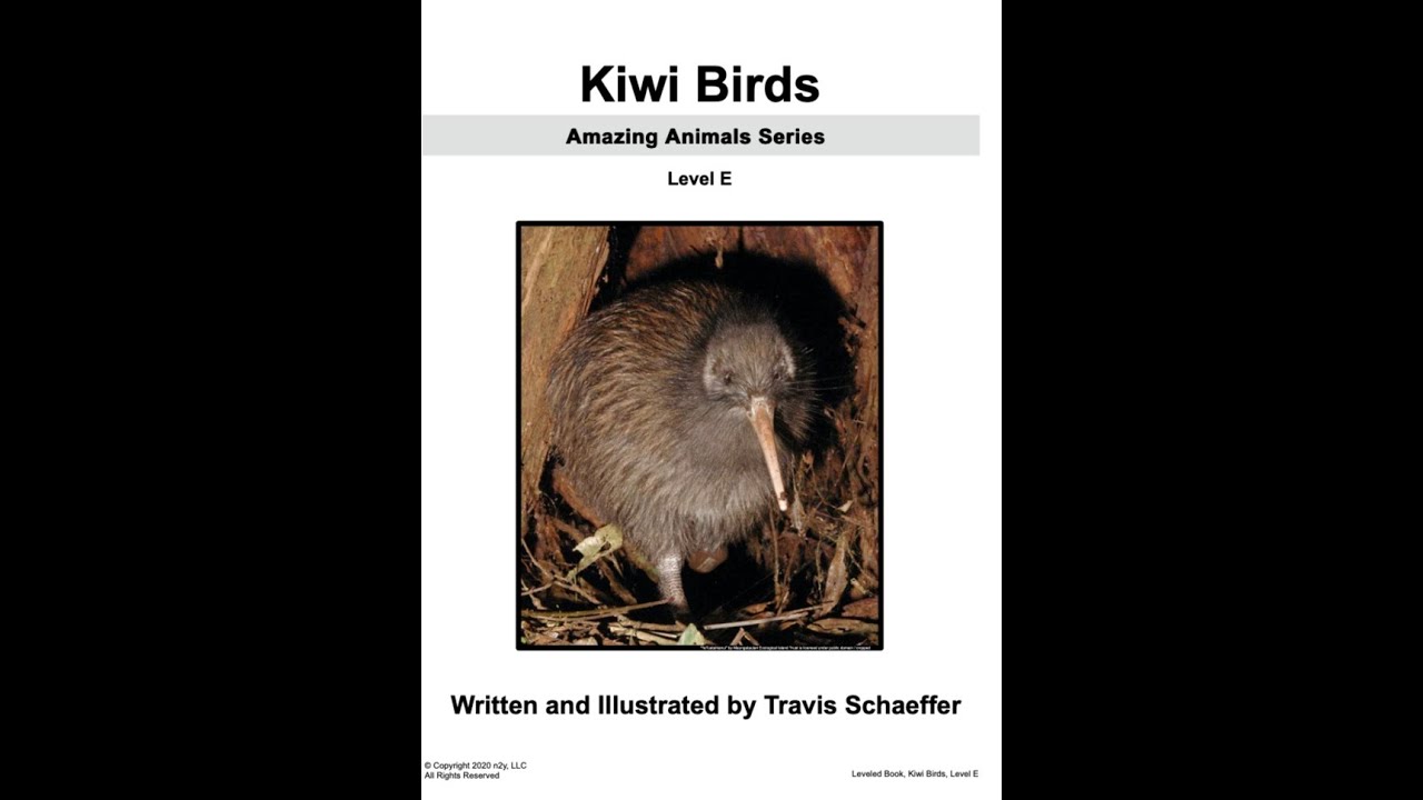 Kiwi Bird |Read Aloud| - YouTube