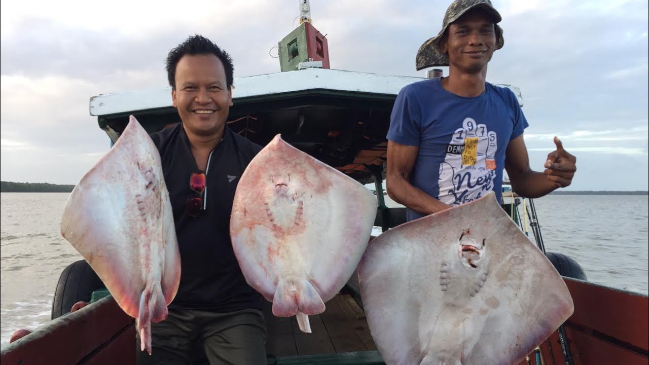 Catching Rays in Suriname: Thrilling Stingray Fishing Expedition" - YouTube