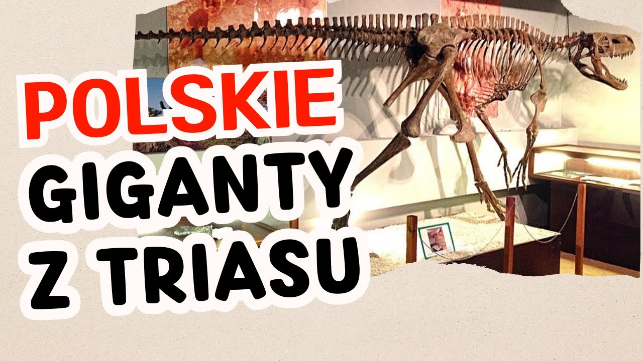 Smok wawelski i polski gigant z triasu - YouTube