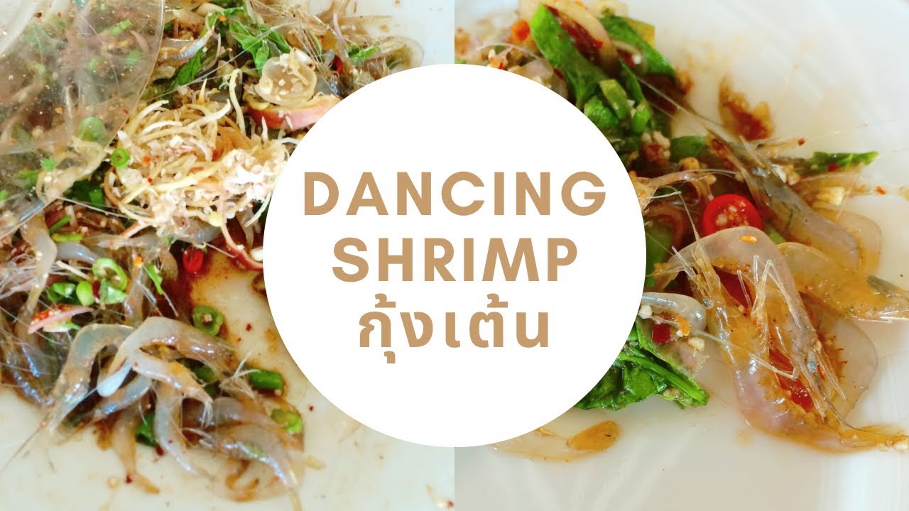 Dancing Shrimp, Sao Noi Disco, Goong Ten กุ้งเต้น สาวนอ้ยดิส์โก ท่างอน ...