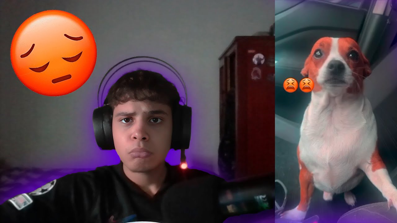 ESITO el PERRITO :( - YouTube