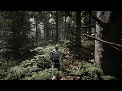 Procedural Forest Scene - Unity HDRP - YouTube