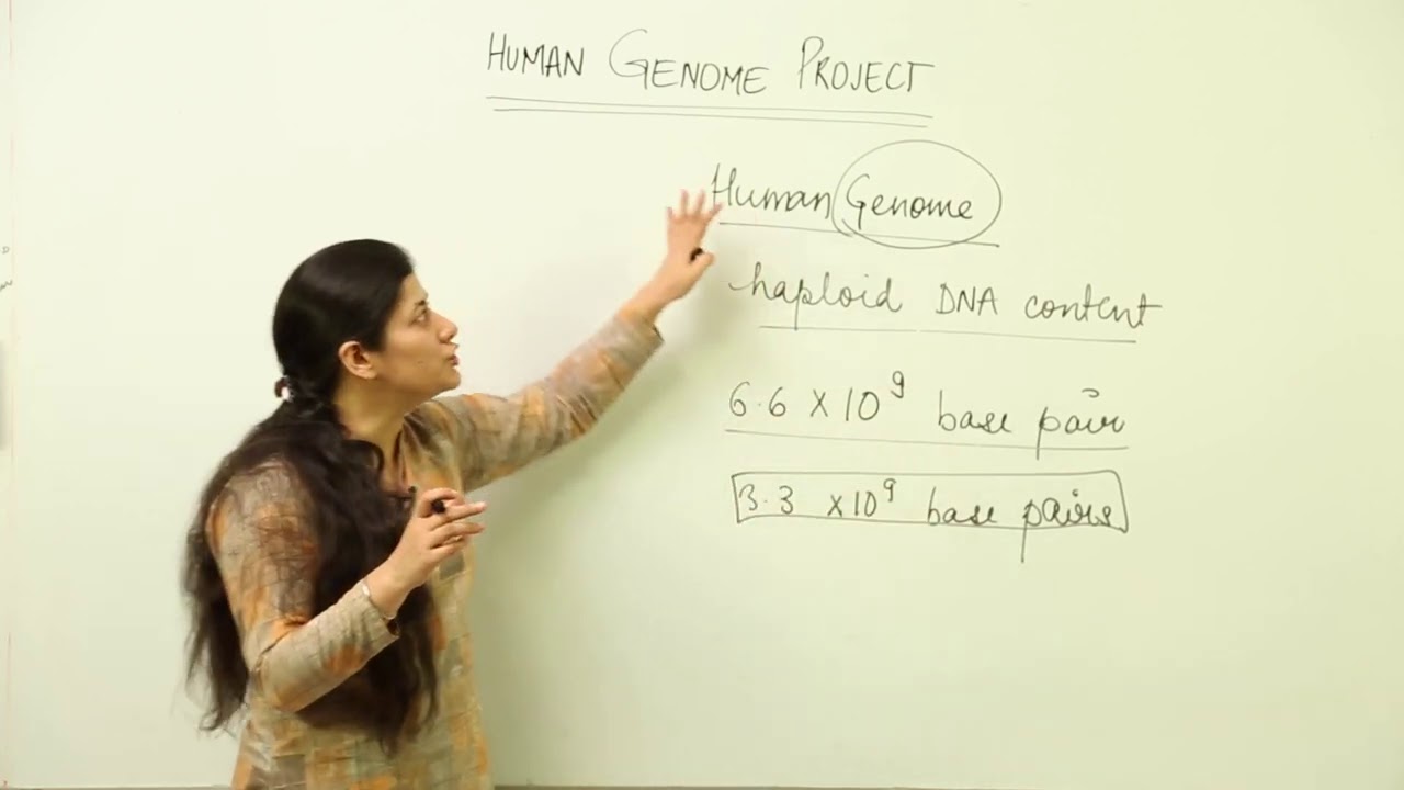 CBSE CLASS 12 BIOLOGY - Genetics - Molecular Basis Of Inheritance ...